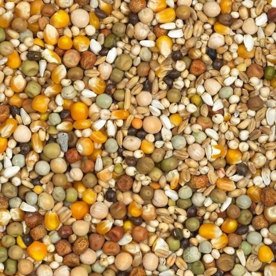 Vanrobaeys Super speciaal kweek 20 kg | bol