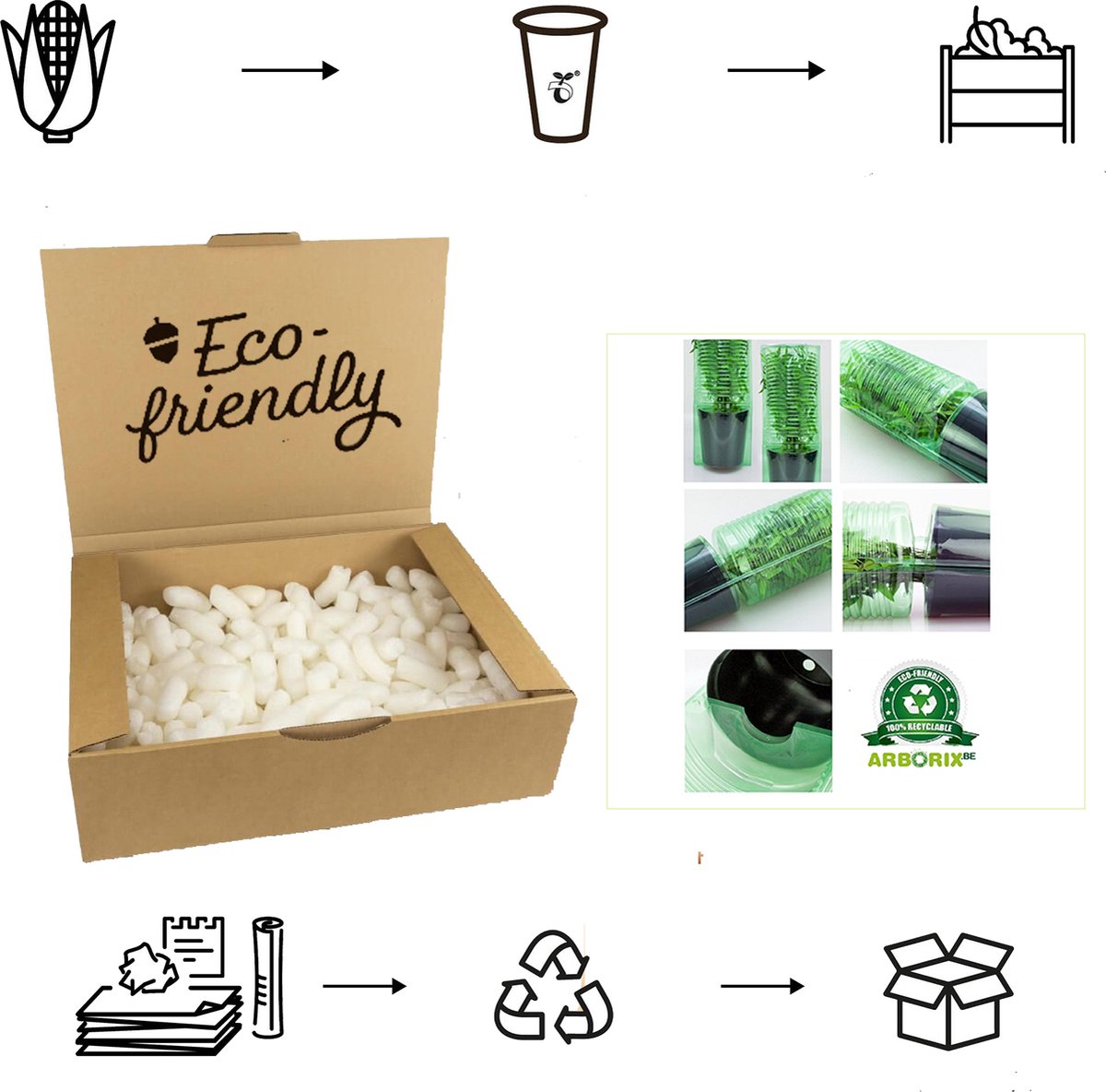 Ficus Carica - Vijg, Vijgeboom 50-60 cm in pot | bol.com