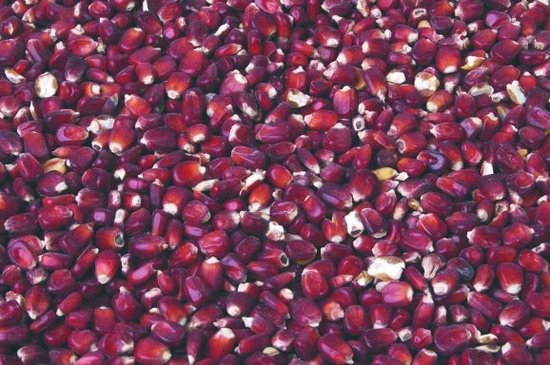 Bordeaux Maïs 20kg | bol