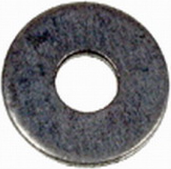 Intergard Carrosseriering M8 RVS DIN 9021 | bol