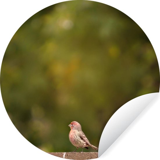 Behangcirkel - rode vink zit op een stenen muurtje - ⌀ 120 cm ...