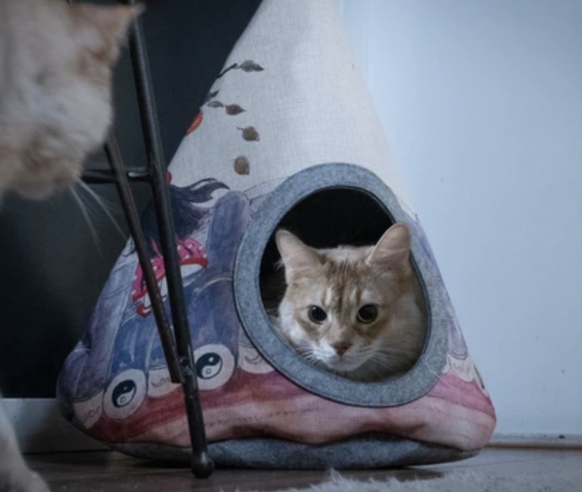 Takara Tipi – Katten huisje – Katten Tip Tent – Katten tent ...