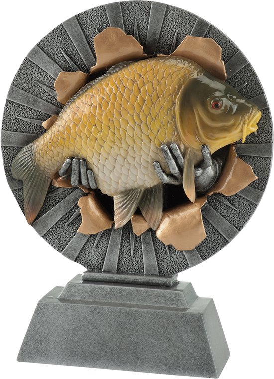 Trofee Big Fish Carp Colour 23 cm Grote Vis Wisselbeker Karper F1 ...