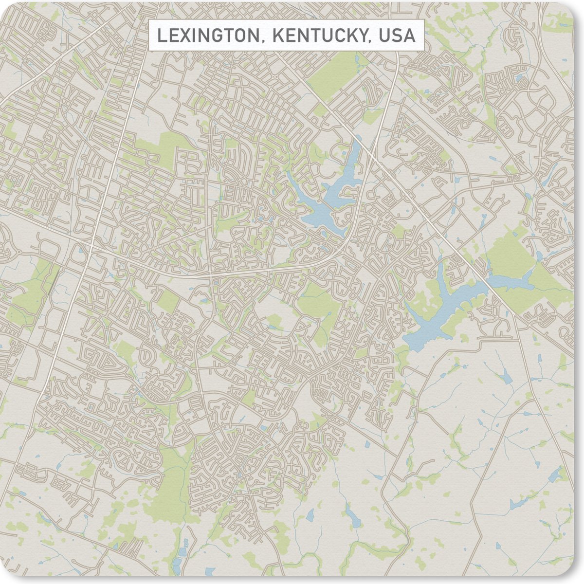 een kaart van Lexington | bol.com