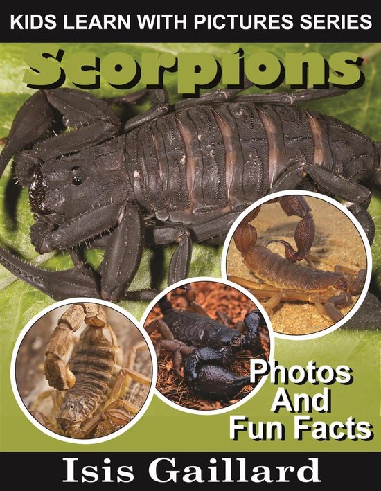 Kids Learn With Pictures 73 - Scorpions Photos and Fun Facts for Kids ...