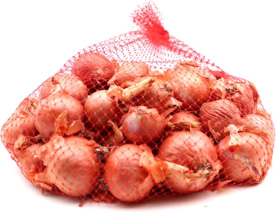 Red Sun - échalote plant rouge - calibre 7/15 - 1 kilo (env. 55-60 ...