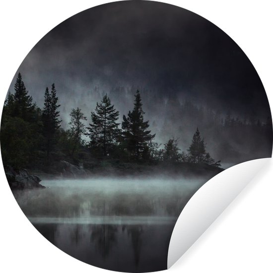 WallCircle - Muurstickers - Behangcirkel - Bos - Mist - Zwart - Wit - 100x100 cm -... | bol.com