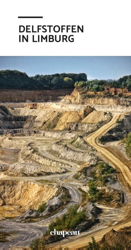 Delfstoffen in Limburg, Ludo Diels | 9789464431957 | Boeken | bol