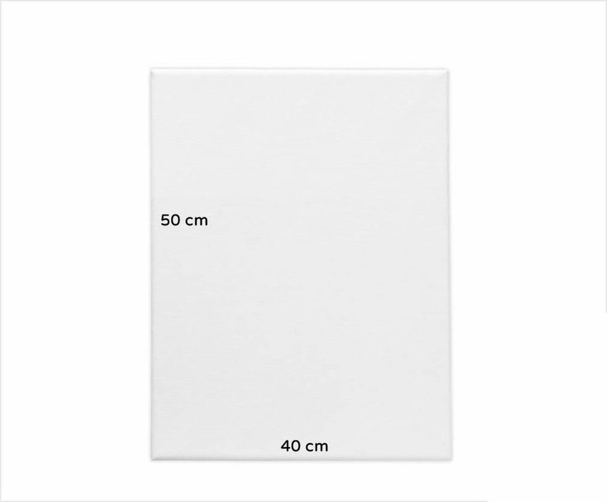 Van Bleiswijck Holland: Canvas Schilderdoek - 2 stuks (40x50 cm) | bol.com