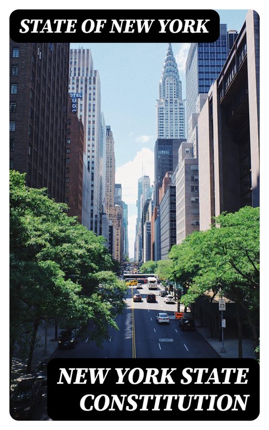 New York State Constitution (ebook), State Of New York | 8596547314066 ...