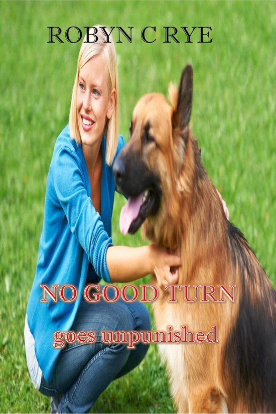 No Good Turn Goes Unpunished (ebook), Robyn C Rye | 9798223756132 ...