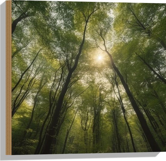 Hout - Bomen - Bos - Zon - Groen - 50x50 cm - 9 mm dik - Foto op Hout ...