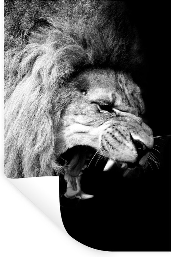 Muurstickers - Sticker Folie - Leeuw - Portret - zwart - Wit - Dieren - 80x120 cm -... | bol
