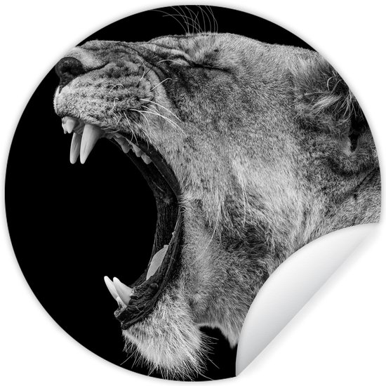 WallCircle - Behangcirkel - Dieren - Leeuw - Jungle - Zwart - Wit - Zelfklevend behang... | bol