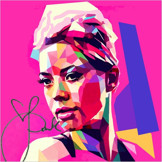 p!nk zangeres poster | pink posters | 50 x 50 cm | pop art streetart ...