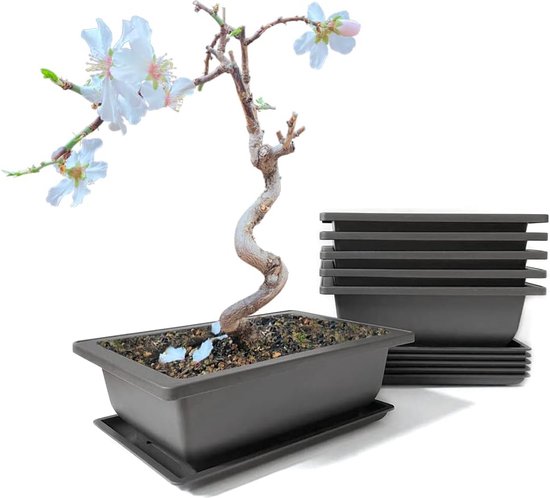 6 stuks Bonsai trainingsschalen, 23 x 17 x 8 cm, rechthoekige bonsai ...