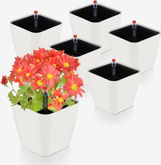 6 x zelfbewaterende pot met waterniveau-indicatoren, kruidenpot ...