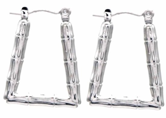 Oorbellen - Oorringen - RVS - 2,5 cm - Zilverkleurig | bol