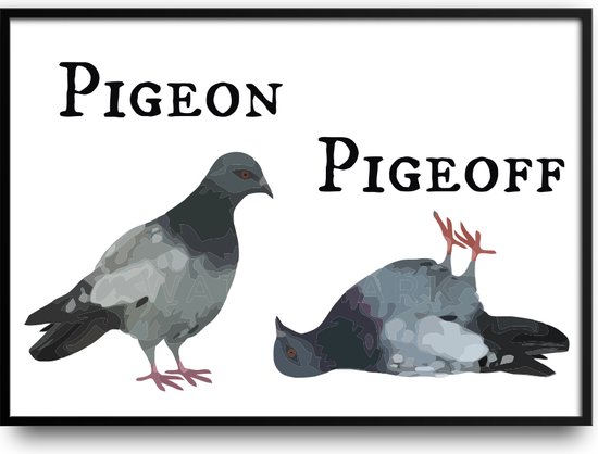 Pigeon Pigeoff fotolijst met glas 40 x 50 cm - Prachtige kwaliteit ...