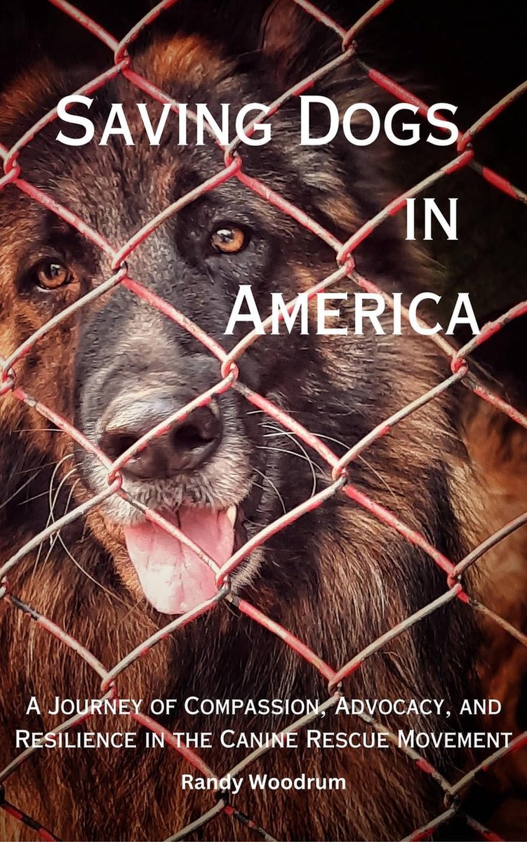 Saving Dogs in Ameirca: A Journey of Compassion, Advocacy, and ...