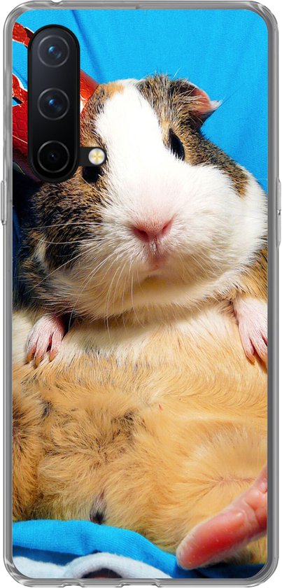 Geschikt voor OnePlus Nord CE 5G hoesje - Cavia - Grappig - Kroon ...