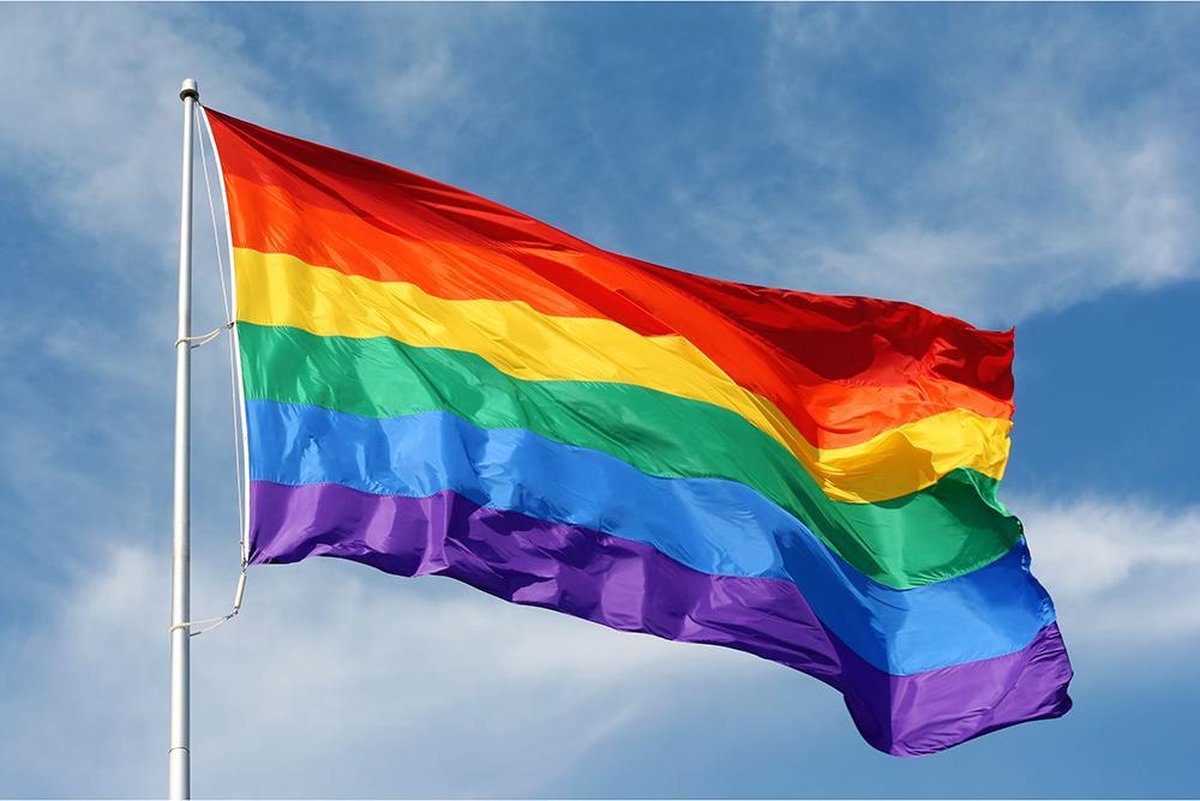 Regenboogvlag | Vlag regenboog kleuren | LGBT 150x90cm | bol