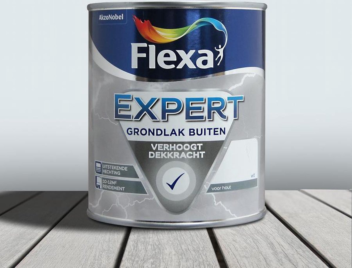 bol.com | Flexa Expert Grondlak Buiten