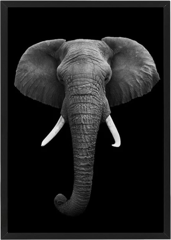 Canvas poster olifant 30x40 cm | Poster in kunststof zwarte lijst ...