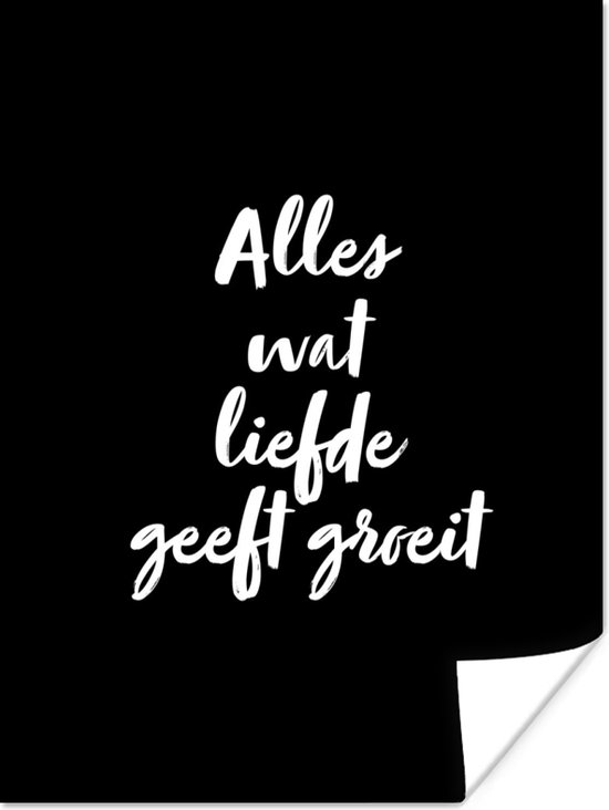 Poster Tekst Quotes Alles Wat Liefde Geeft Groeit Liefde 60x80