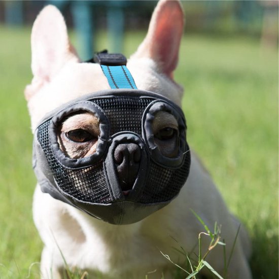 Sharon B - Muilkorf hond - Platte snuit - Zwart blauw - Maat XL ...