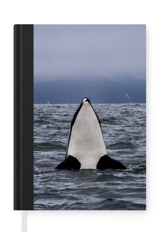 Notitieboek - Schrijfboek - Orka boven water - Notitieboekje - A5 ...