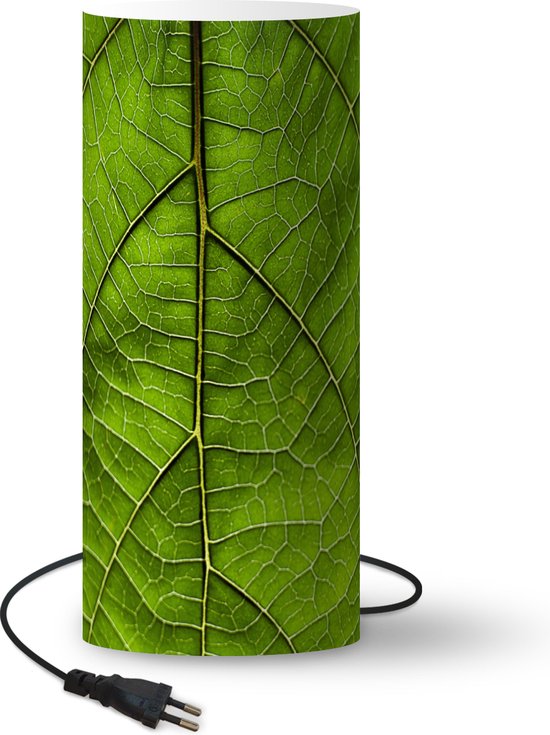 Lamp - Nachtlampje - Tafellamp slaapkamer - Nerven van een groot groen ...