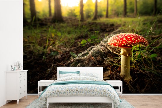 Behang - Fotobehang Rood met witte paddenstoel tijdens zonsopkomst ...