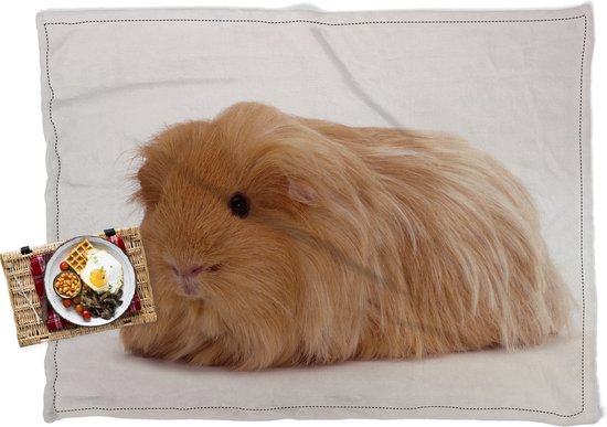 Waterdicht Picknickkleed - Geschikt als Strandlaken / Strandmat ...