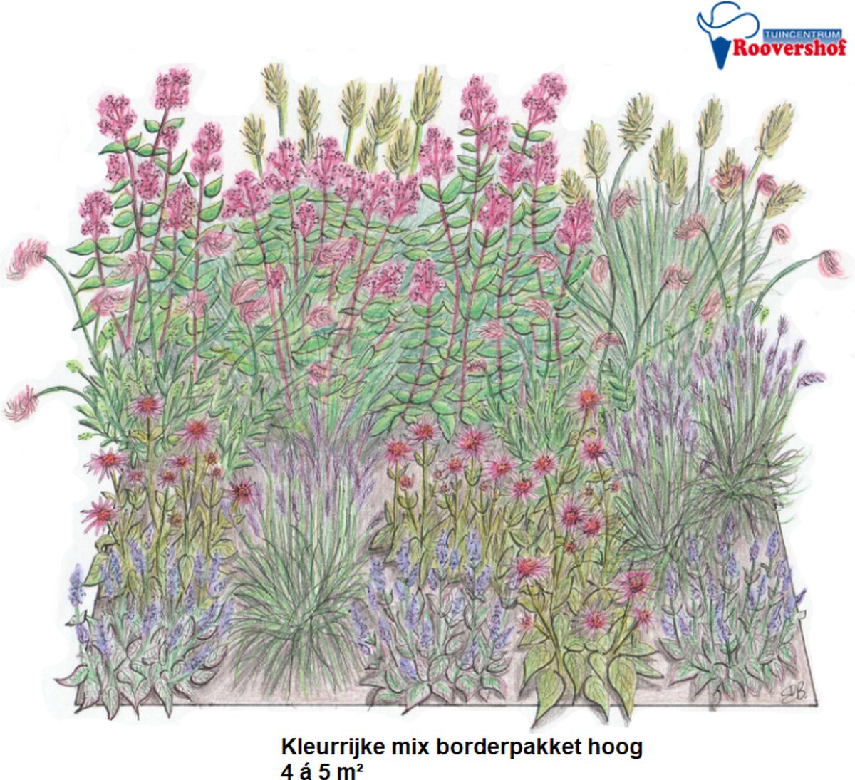 Borderpakket 'Hoog & kleurrijk' - hoge borderplanten - 18 planten - 5 ...