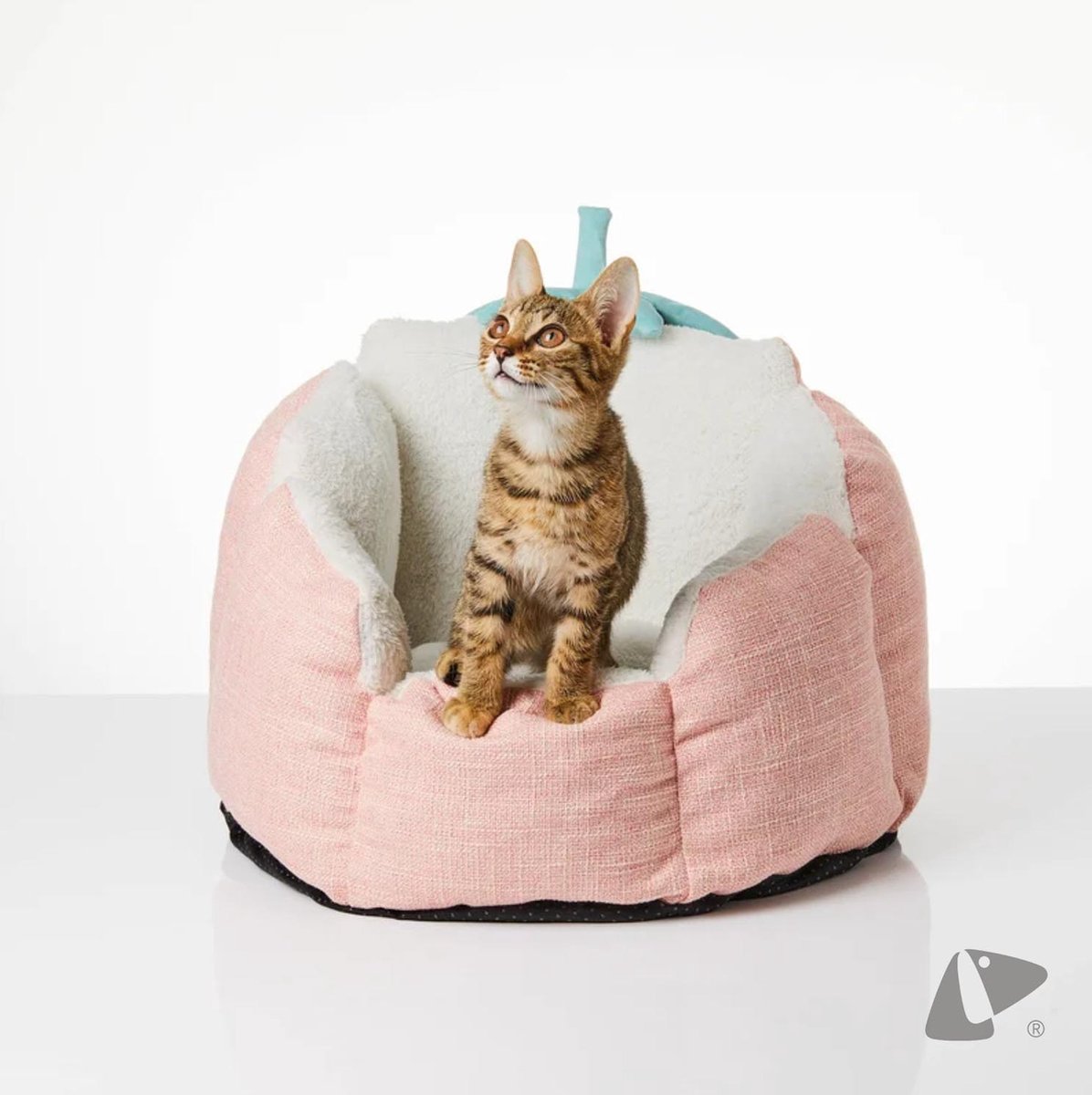 PETKIT® Strawberry Mand – Hondenmand – Kattenmand – Roze | bol.com