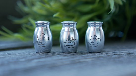 Mini urn - Zilver - Met tekst 'Dad' - Papa - Urn voor as - (Urn) | bol.com