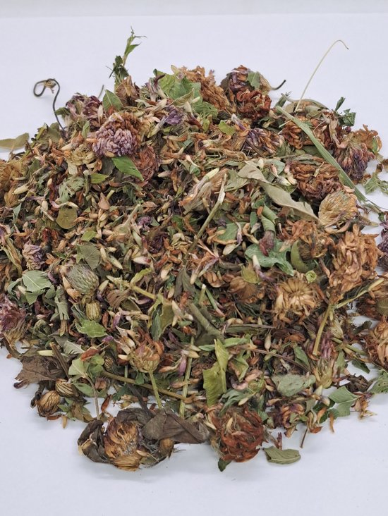 Rode klaver (Trifolium pratense)50g | bol