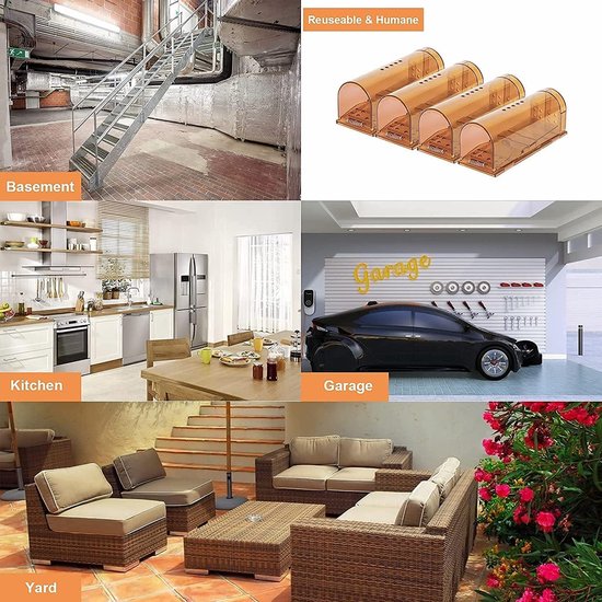 DiverseGoods 4 Pack levende muizenval - Live Catch and Release ...