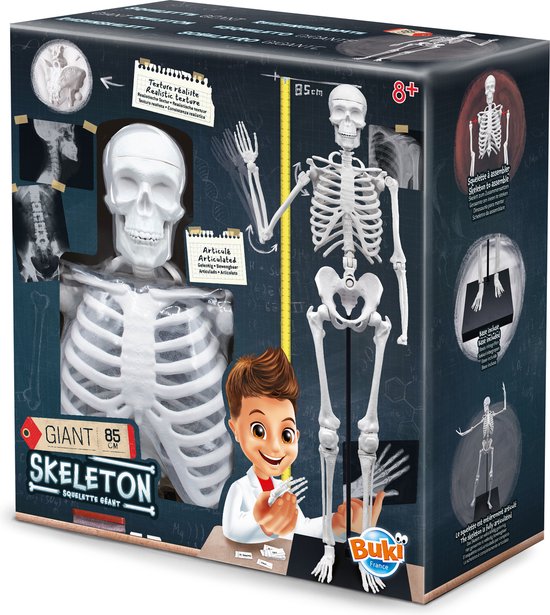BUKI - SKELET 85 CM | bol