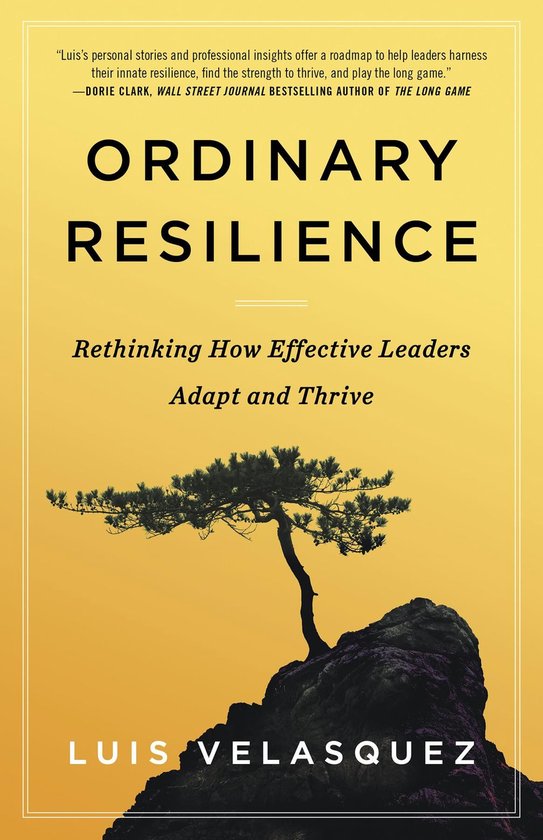 Ordinary Resilience (ebook), Luis Velasquez | 9781544545622 | Boeken | bol