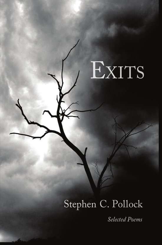 Exits (ebook), Stephen Pollock | 9781957638676 | Boeken | bol