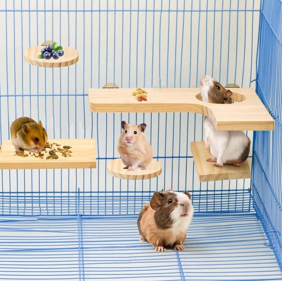Hamster Accessoires Set van 5 Houten Hamster Speelgoed Natuurlijk ...