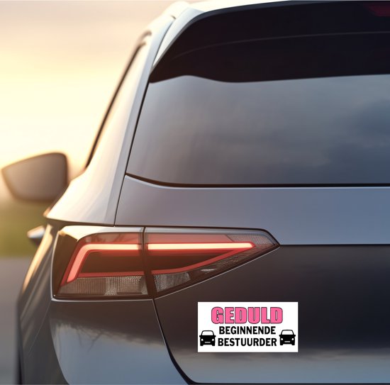RITRAMA Beginnend bestuurder sticker auto - roze - B15 x H7.5 cm | bol