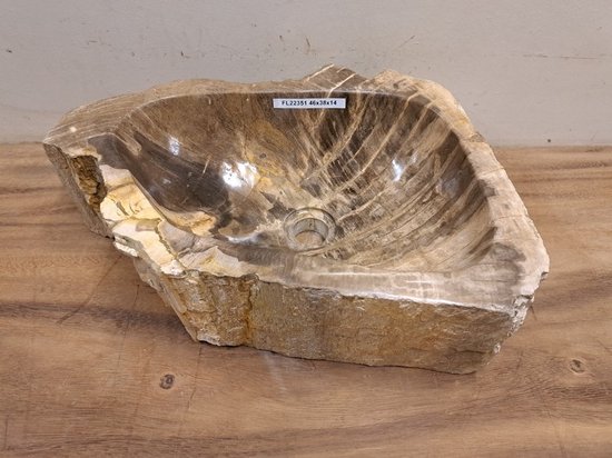 Waskom van versteend hout - 46x38x15cm - FL22351 | bol