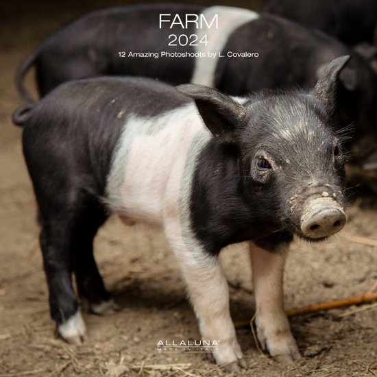 Farm Kalender 2024 | bol