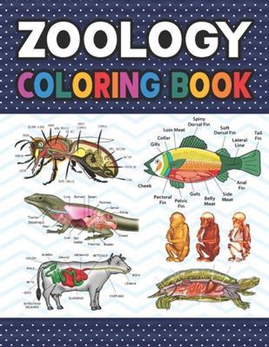 Zoology Coloring Book | 9798705246373 | Darjeylone Publication | Boeken ...