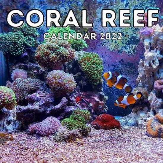 Coral Reef Calendar 2022 | bol