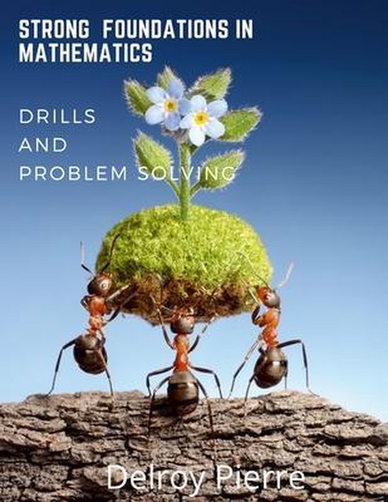 Strong Foundations in Mathematics | 9781304707093 | Delroy Pierre ...