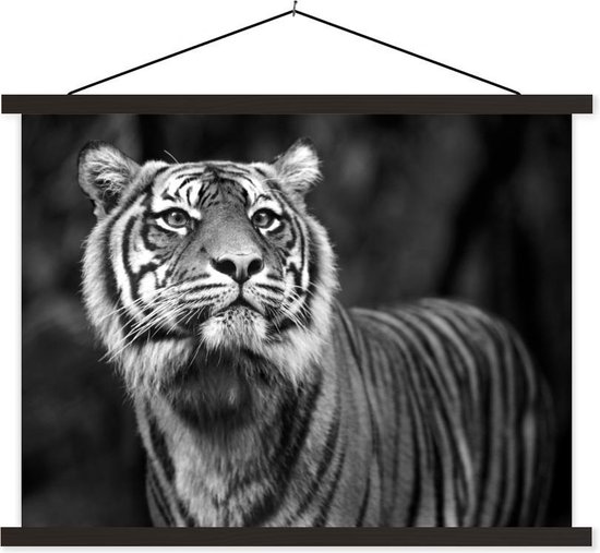 Tijger - Jungle - Zwart - Wit | bol.com